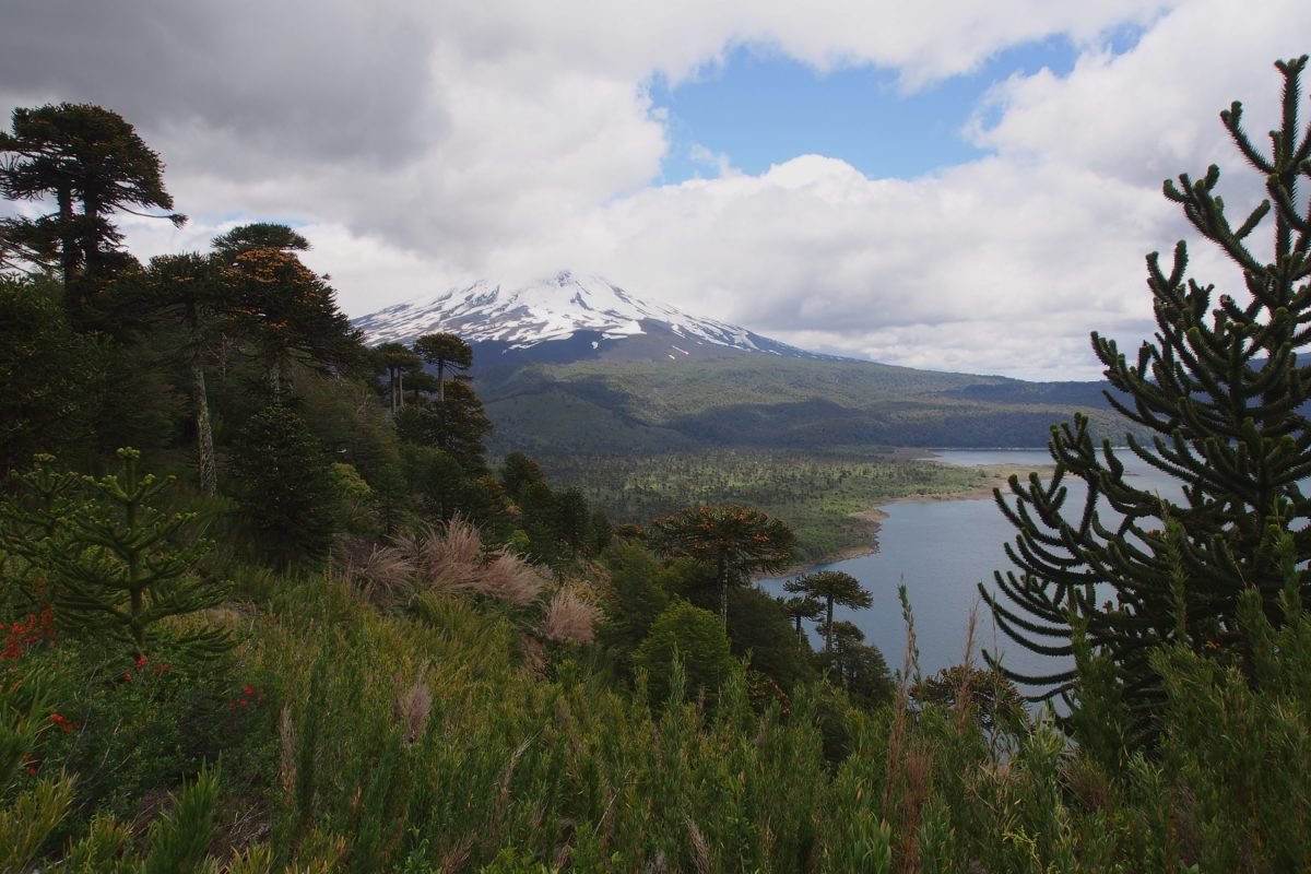 Conguillio National Park